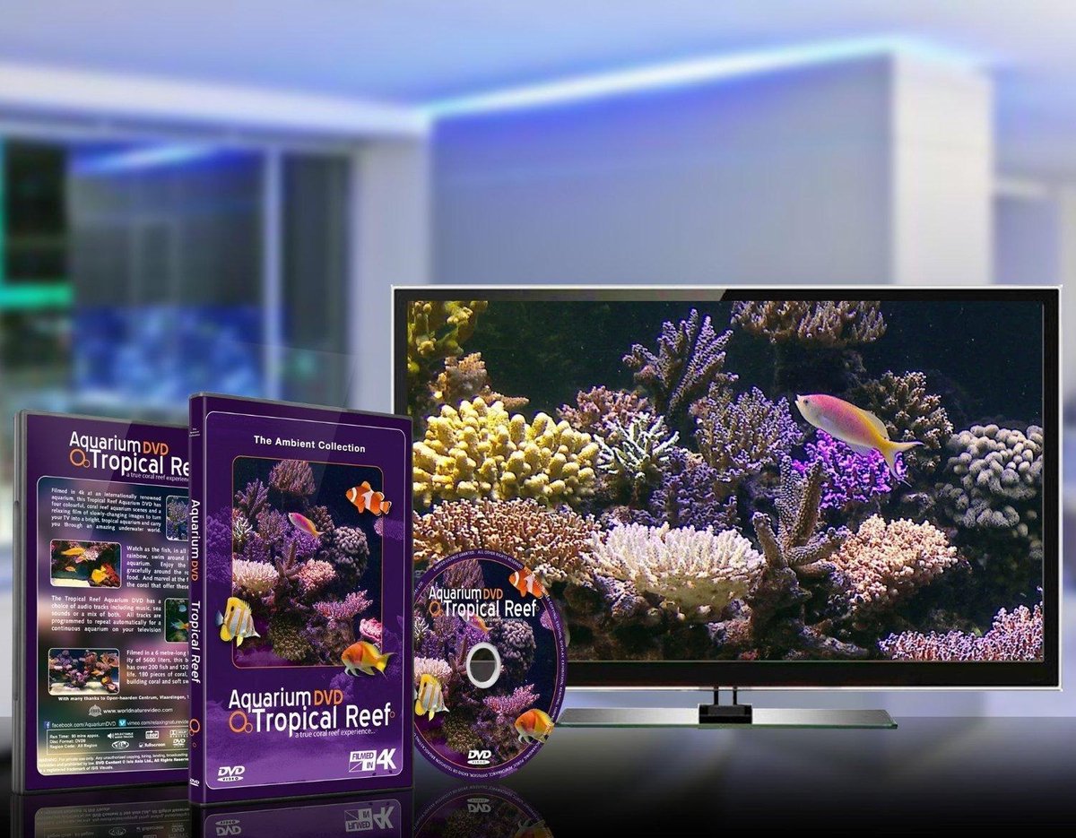 Tropisch rif aquarium (Dvd) | Dvd's | bol.com