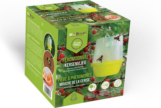 Biogroei Feromoonval kersenvlieg - kersenvlieg bestrijden ...