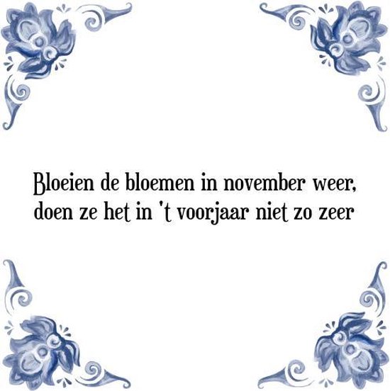 Tegeltje met Spreuk (Tegeltjeswijsheid): Bloeien de bloemen in november ...