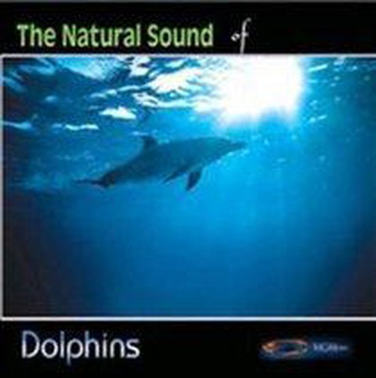 Runestone - Tome, The Book Of Souls (CD), Runestone | CD (album ...