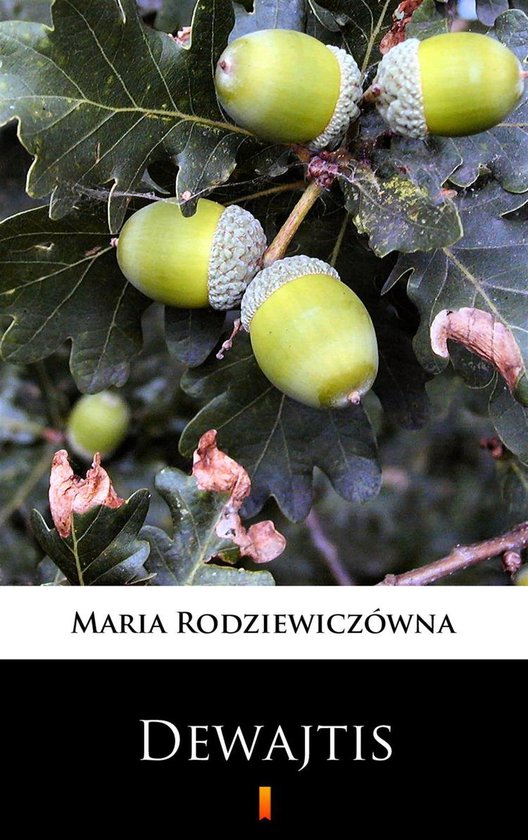 Dewajtis (ebook), Maria Rodziewiczowna | 9788379034178 | Boeken | bol