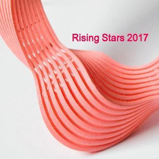 Rising Stars 2017, New Ashgate Gallery | 9781326946470 | Boeken | bol.com