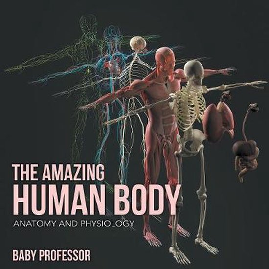 The Amazing Human Body Anatomy and Physiology | 9781541903999 | Baby ...