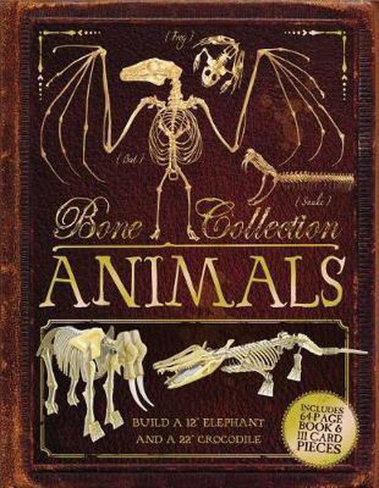 Bone Collection | bol.com