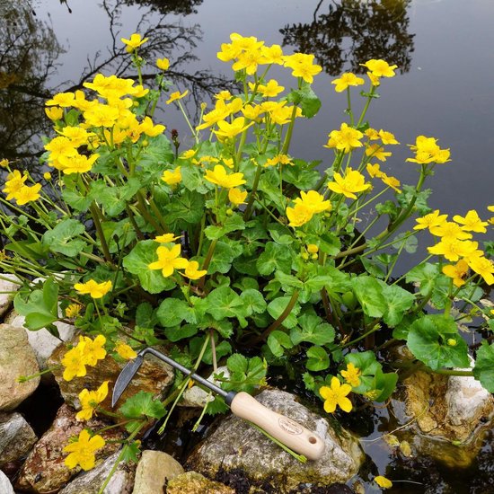 De Wit Cape Cod Wieder Rechts Met Essen Handvat 14 Centimeter | bol