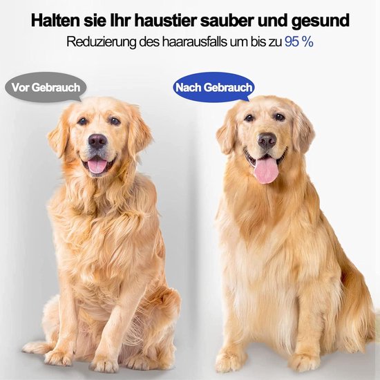 3 stuks Hondenkatten luizenkam - Vlooienvlekverwijderingskam en ...