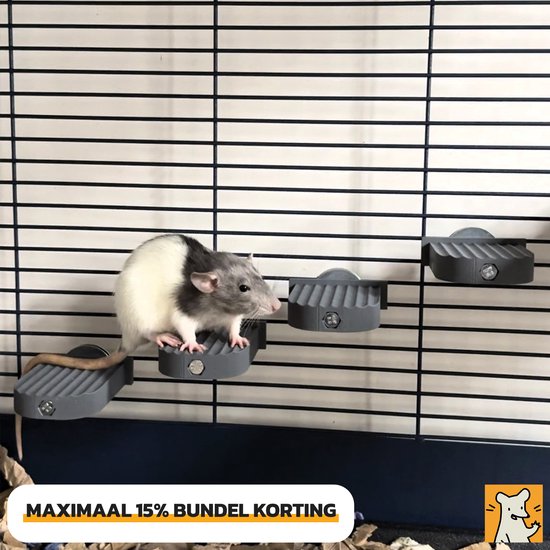 Rover Rats® - Klein Platform 6 x 8 cm - Kooi Platform voor Ratten ...