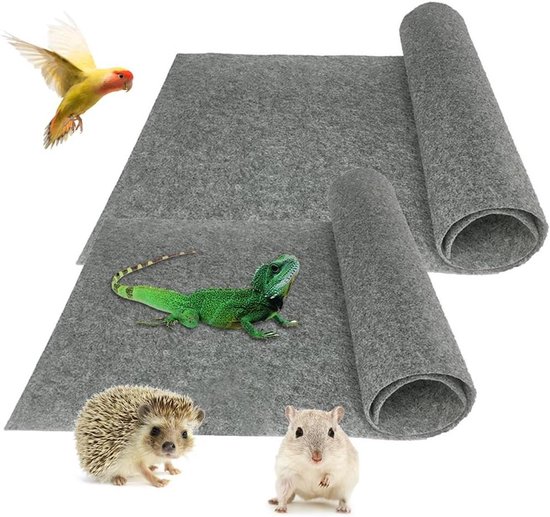 Allecto Plus - Terrarium tapijt voor bebaarde draak en hagedis - Set ...