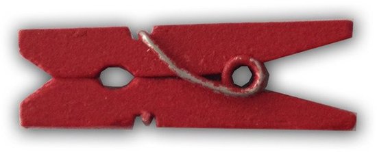 Mini wasknijpers - 200 stuks - Natuurlijk berkenhout - Diverse kleuren ...