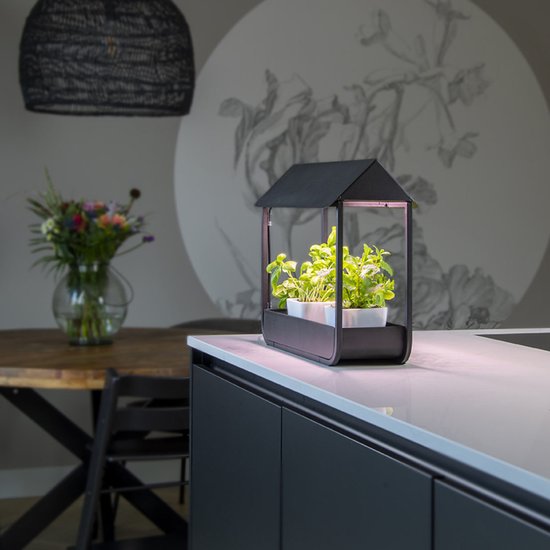 Planten groei lamp kweekkas zwart - Mini kweekkas - led groeilamp ...