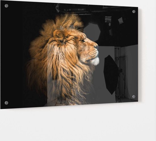 Leeuw Portret | 120x80 cm | Dieren Leeuw | Glas schilderij | bol.com Leeuw Portret | 120x80 cm | Dieren Leeuw | Glas schilderij | bol.com