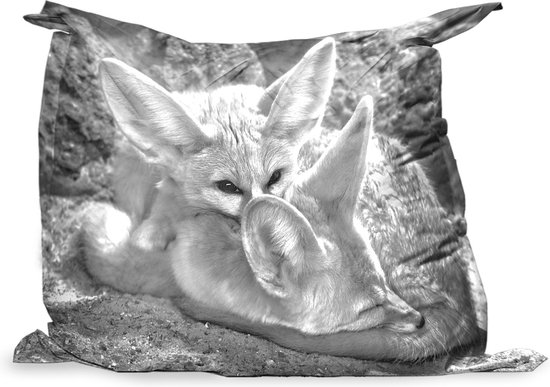 PillowMonkey zitzak - Twee Fennek vossen nestelen zich om te gaan slapen - zwart wit -... | bol.com