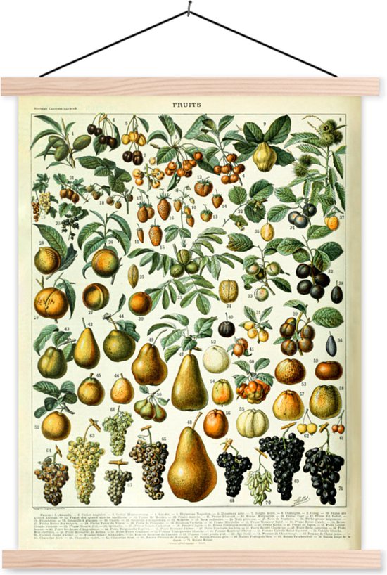 Prent kopen? Alle Prenten online | bol.com