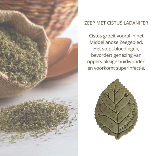 green-goose® Badzout met Olijfolie, 2 Zeepjes en Zachte Bamboe ...