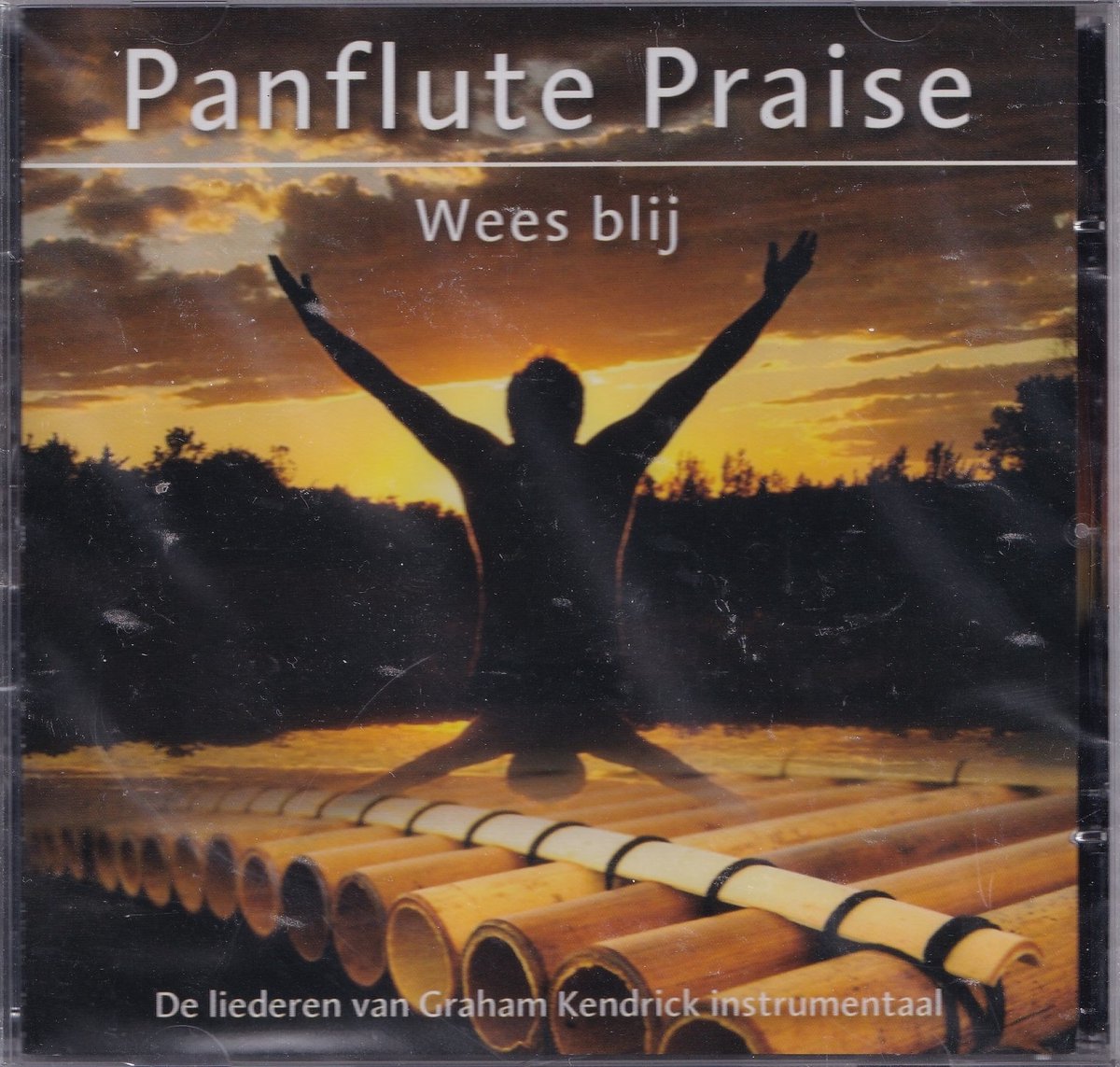 Panflute Praise, Various | CD (album) | Muziek | bol.com