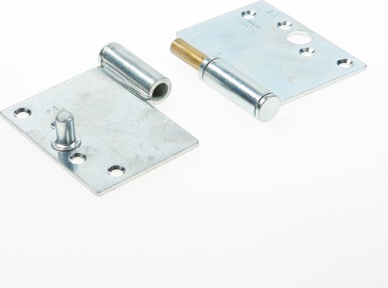 AXA Veiligheids kogelstift-paumelle TGS 89 x125mm d1/L 1200-38-23/V4E ...