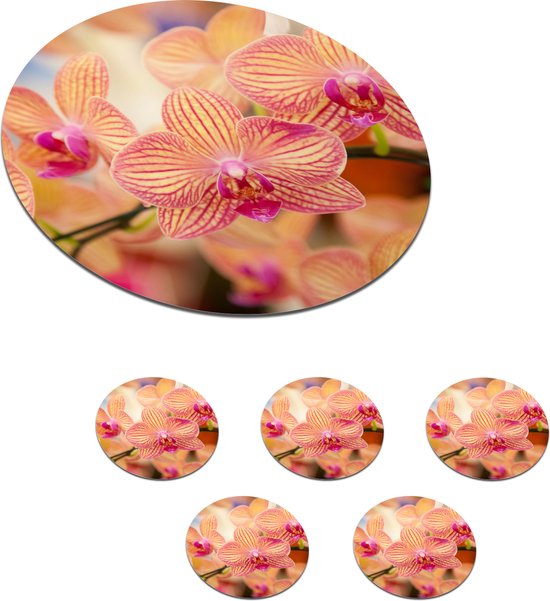 Onderzetters voor glazen - Rond - Plant - Orchidee - Bloemen - Roze ...