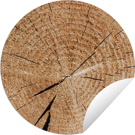Tuincirkel Boomstam - Jaarringen - Hout - 60x60 cm - Ronde Tuinposter ...