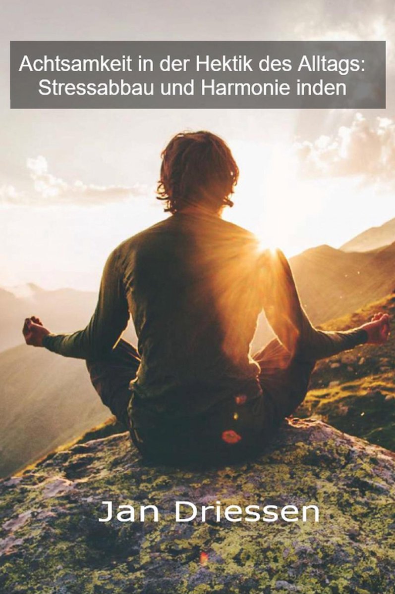 Achtsamkeit in der Hektik des Alltags: Stressabbau und Harmonie (ebook ...