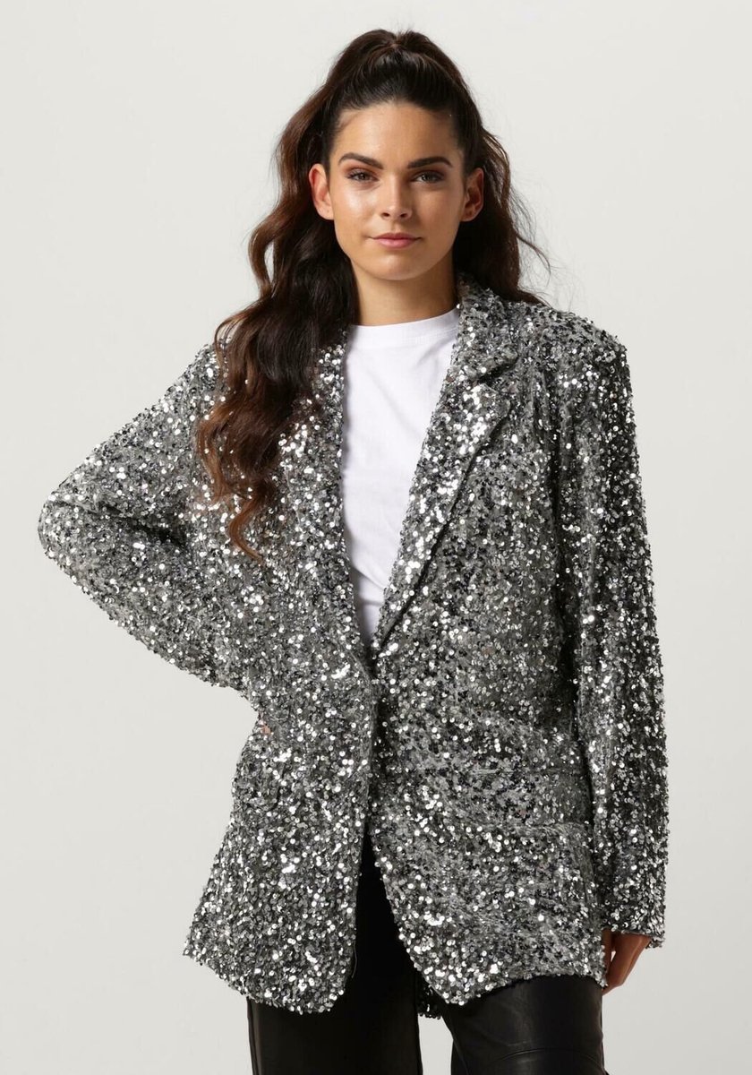 Notre-V Nv-christine Glitter Velvet Blazer Blazers Dames - Zilver ...