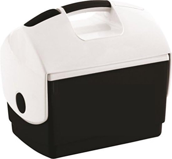 Gratyfied - Koelkast - Frigobox Elektrisch - Foelkast Auto | bol