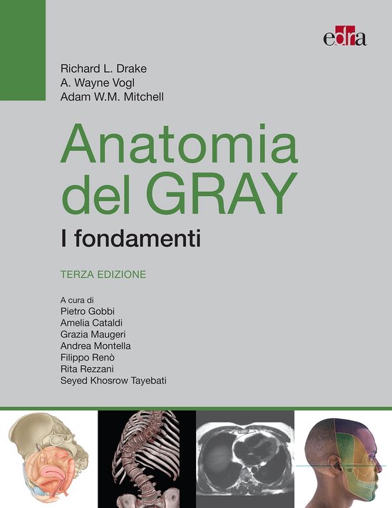 Anatomia del Gray. I fondamenti (ebook), Richard L. Drake ...