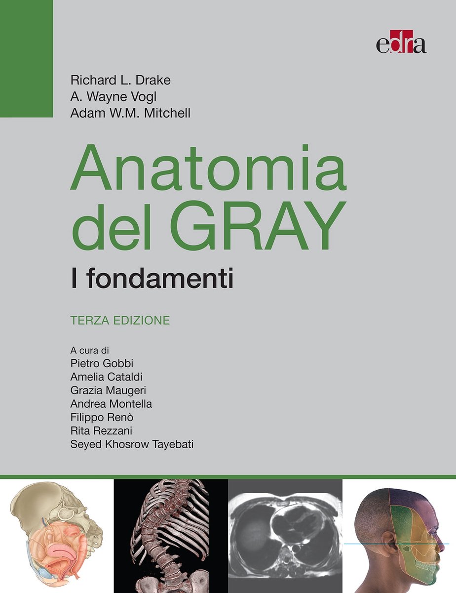 Anatomia del Gray. I fondamenti (ebook), Richard L. Drake ...