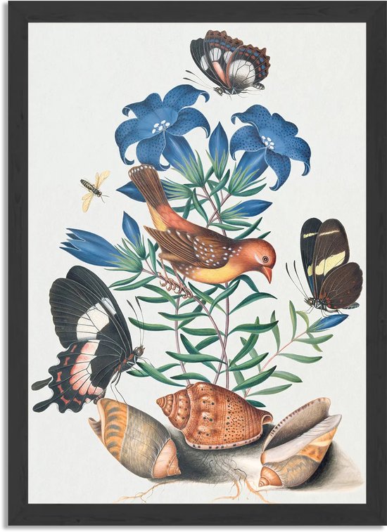 Poster Prent Natuur Vogel en Bloemen 02 Rechthoek Verticaal Met Lijst M ...