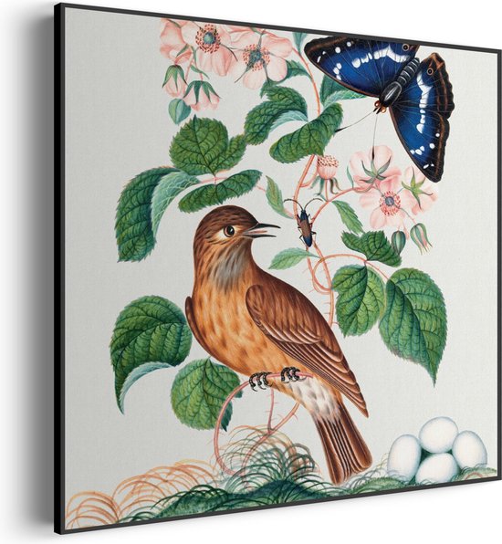 Akoestisch Schilderij Prent Natuur Vogel en Bloemen 01 Vierkant Pro XXL (140 X 140 CM)... | bol