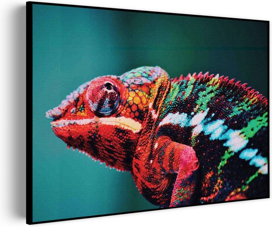 Akoestisch Schilderij Kameleon Kleurrijk Rechthoek Horizontaal Basic XXL (150 x 107... | bol