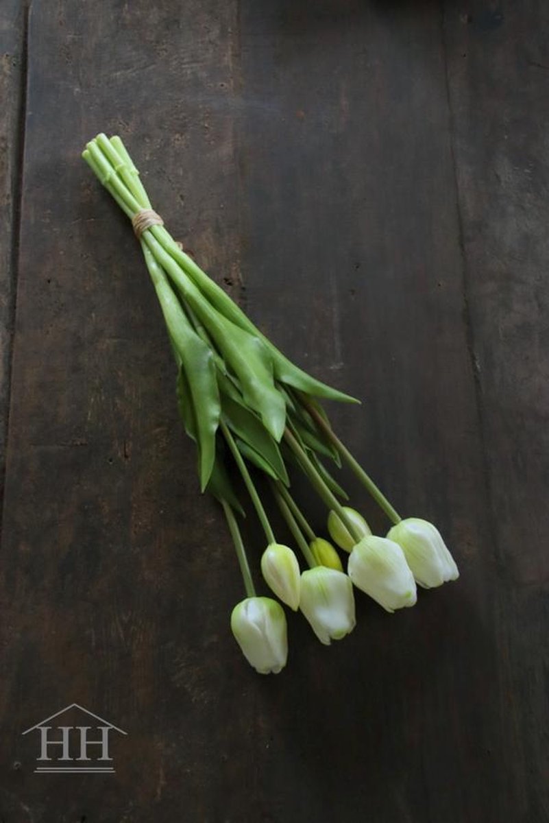 Lange kunst tulpen - 47cm - wit - 7 stelen - Vintage & More - tulpen ...