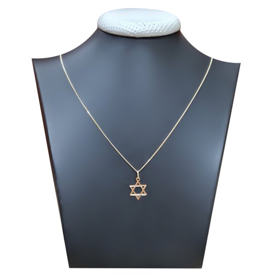 Juwelier Zwartevalk 14 karaat gouden Davidster hanger - 14.101.028 | bol