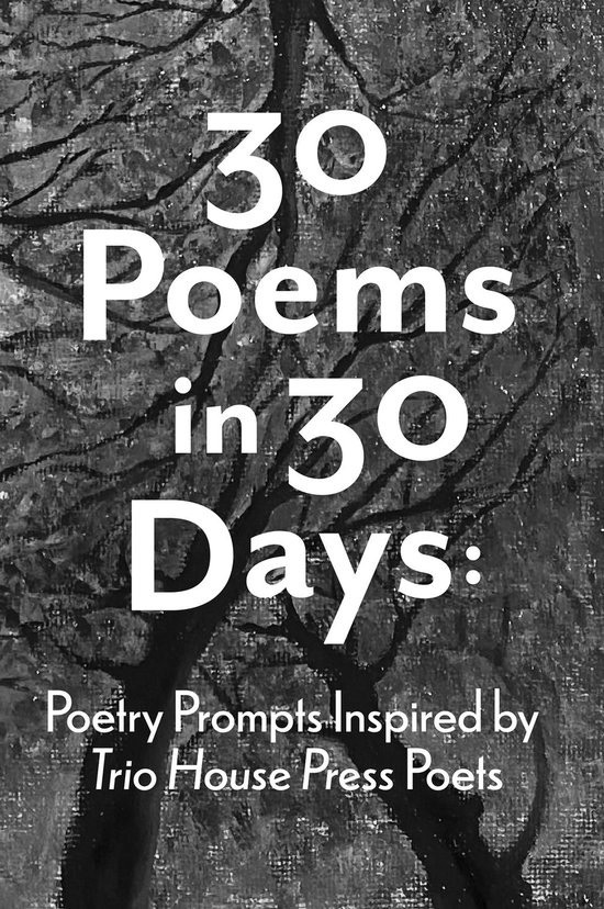 30 Poems in 30 Days (ebook) | 9781949487329 | Boeken | bol