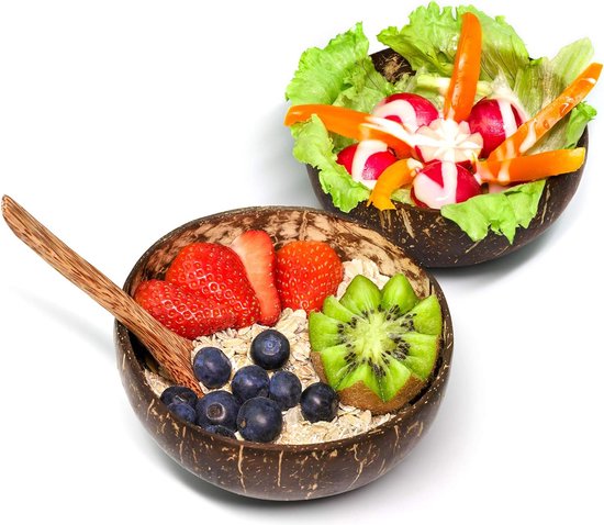 Coconut Bowl kom met lepel, set van 4 vegan Boeddha Bowl kokosnoot ...