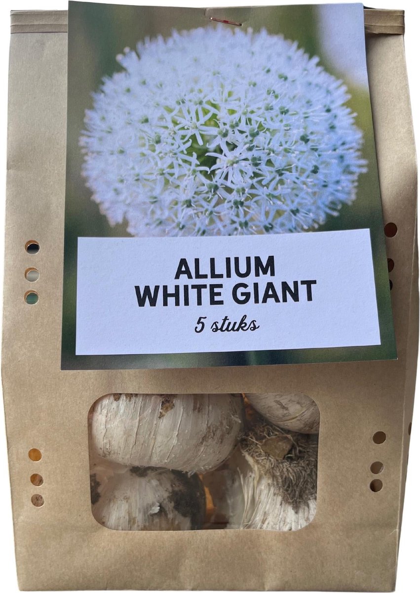 Allium bollen 5 stuks | bol.
