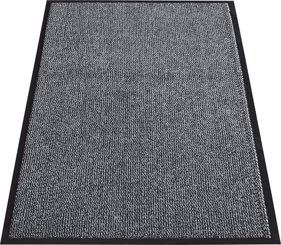 Schoonloopmat 2 Stuks - Droogloopmat voor Binnen - Deurmat - 60 x 40 ...