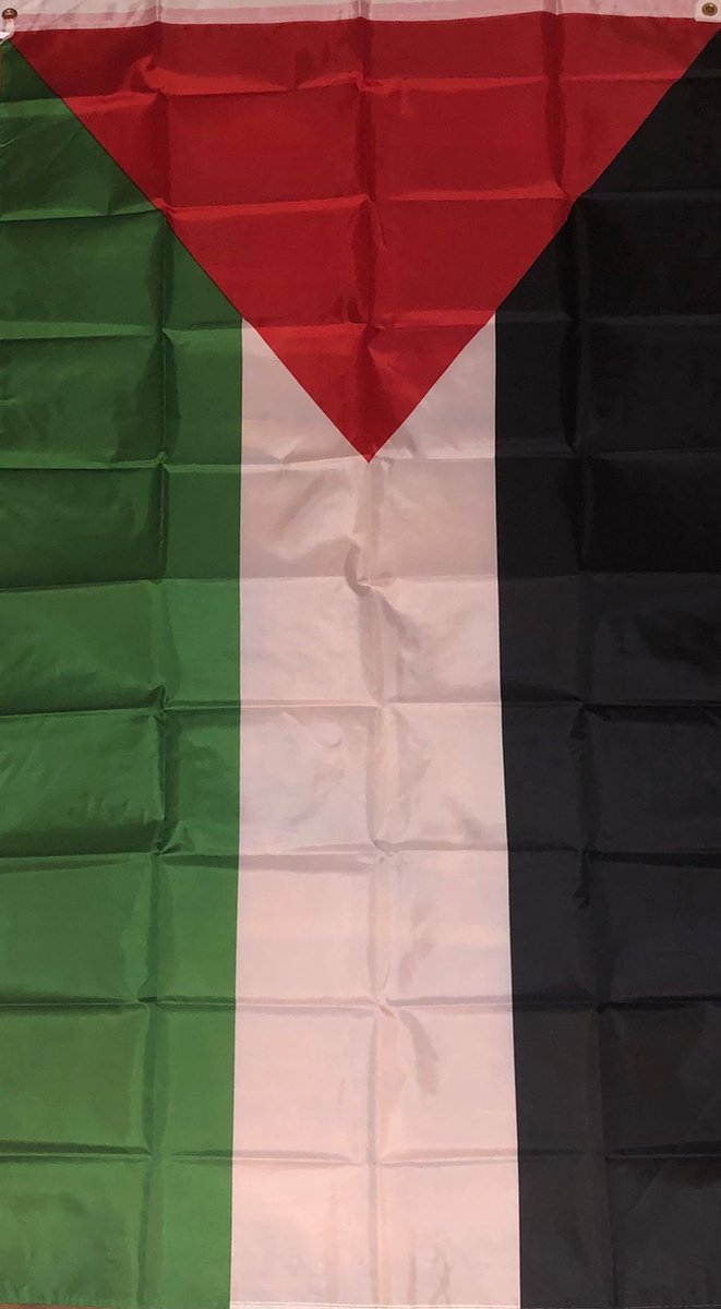 Palestijnse Vlag - Palestina Vlag - 150-90CM - 100% Polyester - Top ...
