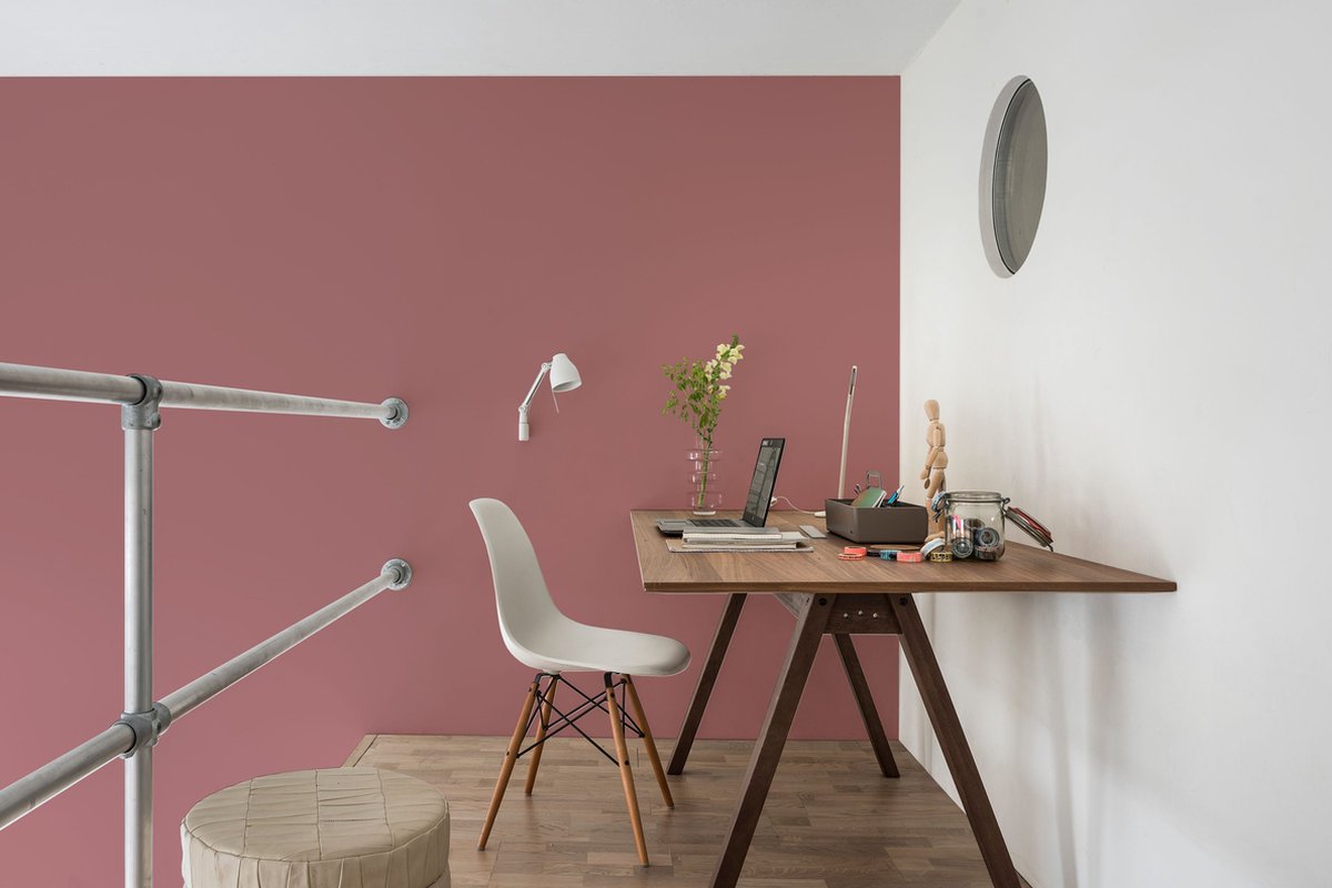 Levis Ambiance Muurverf - Colorfutures 2023 - Satin - Rose Garden - 1L ...