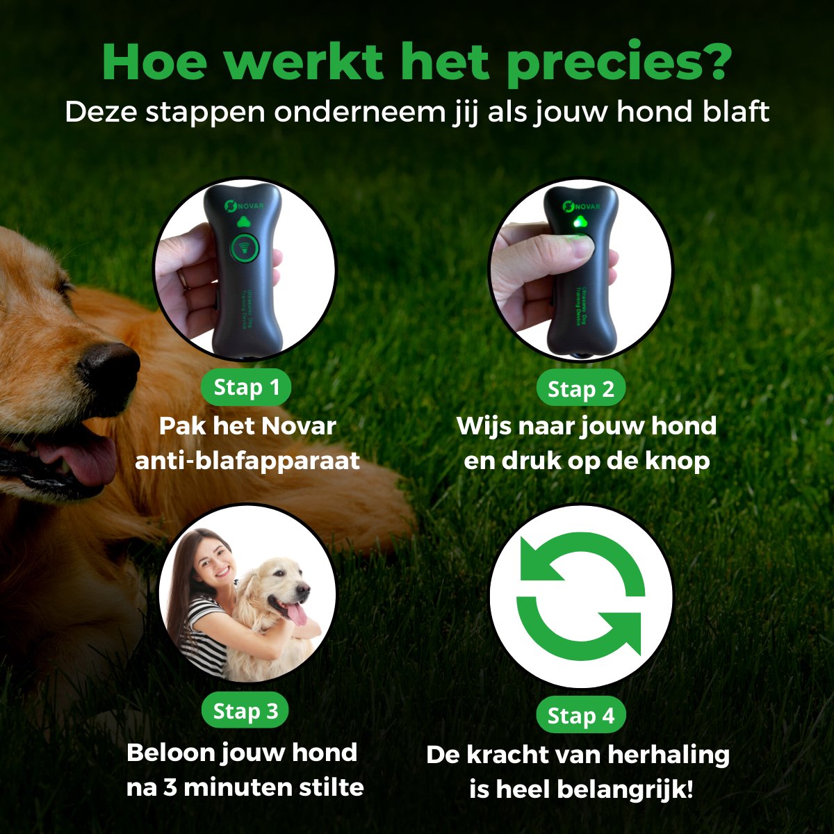 Novar Anti Blaf Apparaat - Blafband - Voor Honden - Oplaadbaar ...