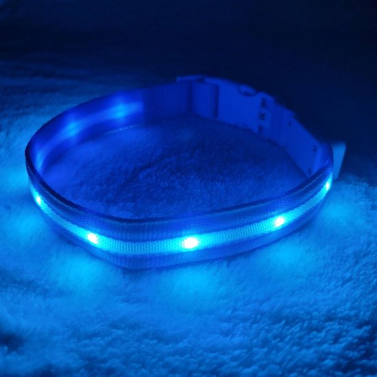 BlackBear - Blauwe LED Halsband voor Honden Large / Blauw Verlichte ...