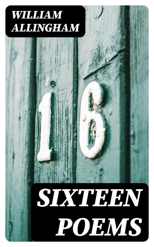 Sixteen Poems (ebook), William Allingham | 8596547342526 | Boeken | bol.com