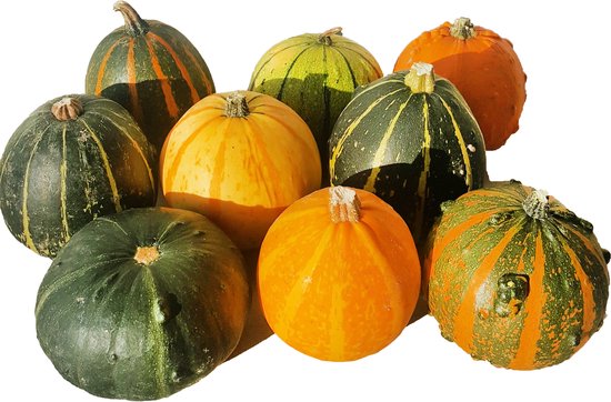 Verse pompoen - Klein sierfruit mix - herfst decoratie - Halloween - ca ...