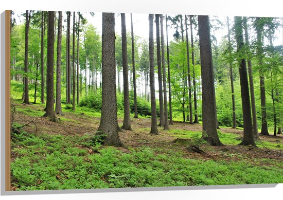 WallClassics - Hout - Bomen op Schuine Heuvel - 105x70 cm - 12 mm dik ...