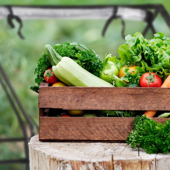 Relaxdays PVC - grande porte - serre en feuille - 94x180x140 cm - serre ...