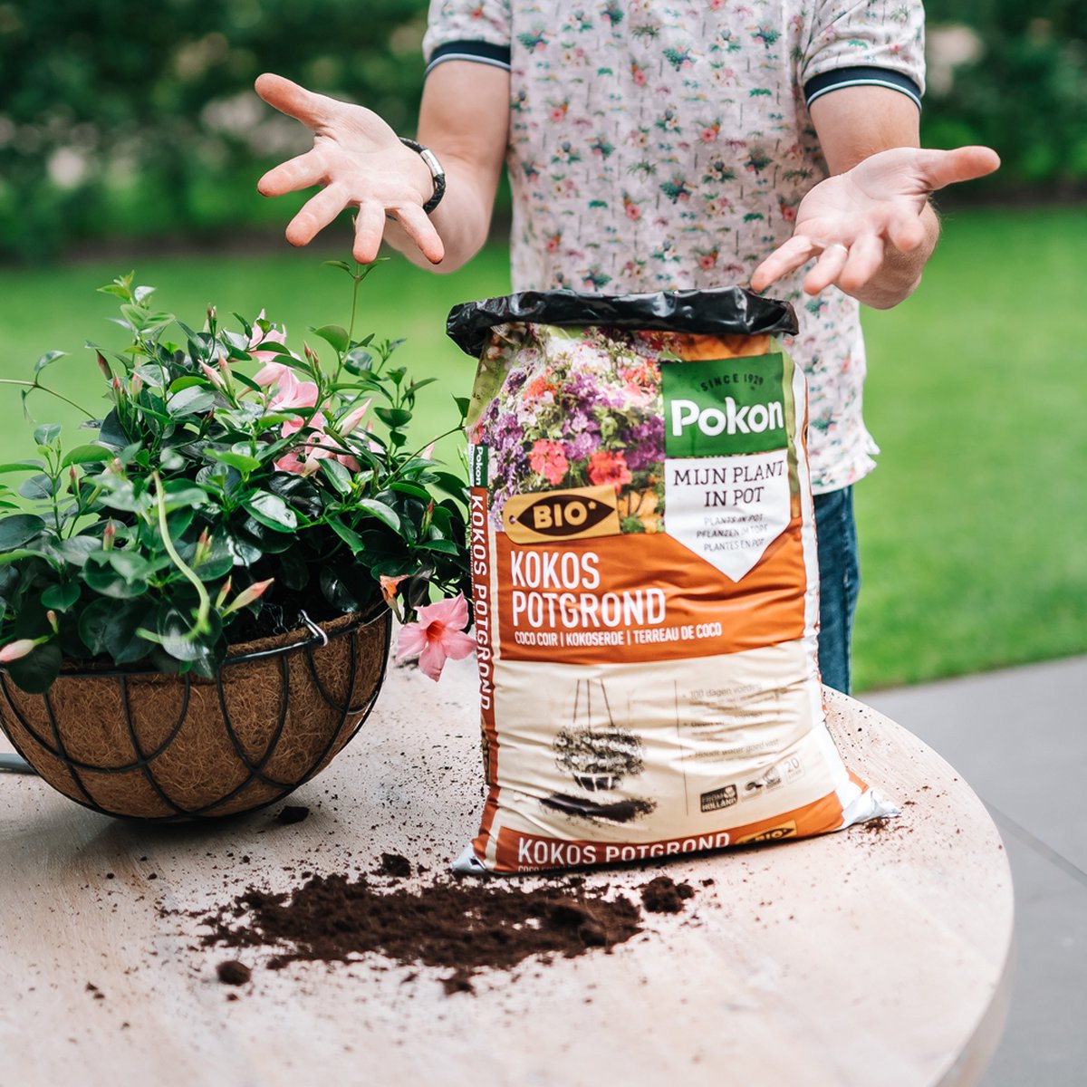 Pokon Bio Kokos Potgrond - Biologische Potgrond - Schone Handen ...