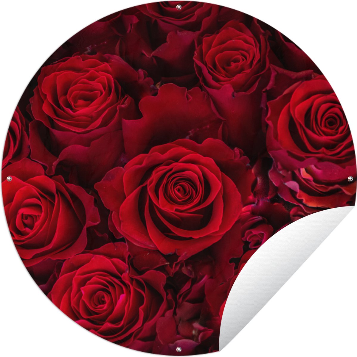 Garden Circle Fleurs - Roses - Rouge - 90x90 cm - Affiche de Jardin ...