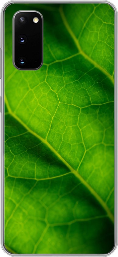Samsung Galaxy S20 hoesje - Groene kleuren van een botanisch blad ...