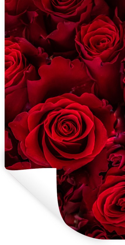 Muurstickers - Sticker Folie - Bloemen - Rozen - Rood - 60x120 cm ...