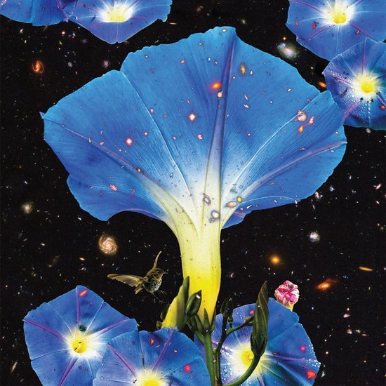 Sarah Louise - Nighttime Birds And Morning Stars (LP), Sarah Louise ...