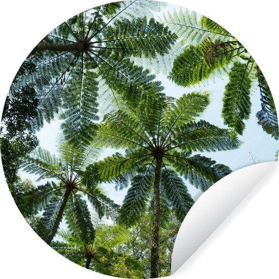 WallCircle - Muurstickers - Behangcirkel - Bomen en bladeren in jungle - ⌀ 30 cm -... | bol